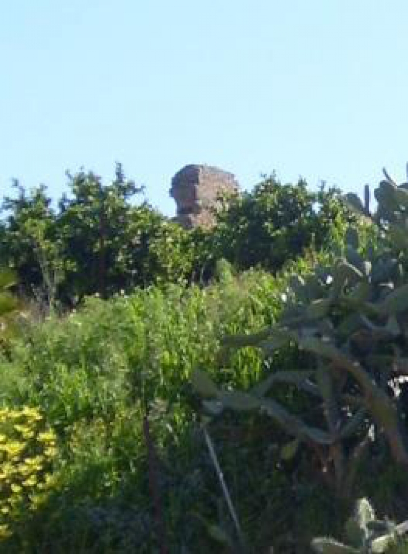 Villaverde del Río – Gran Vega Turismo